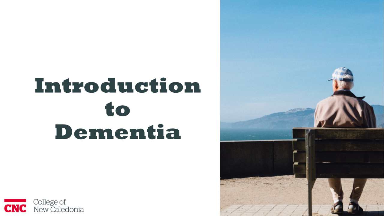 1 Introduction to dementia – Mind the Gap: Dementia Guidance for the North