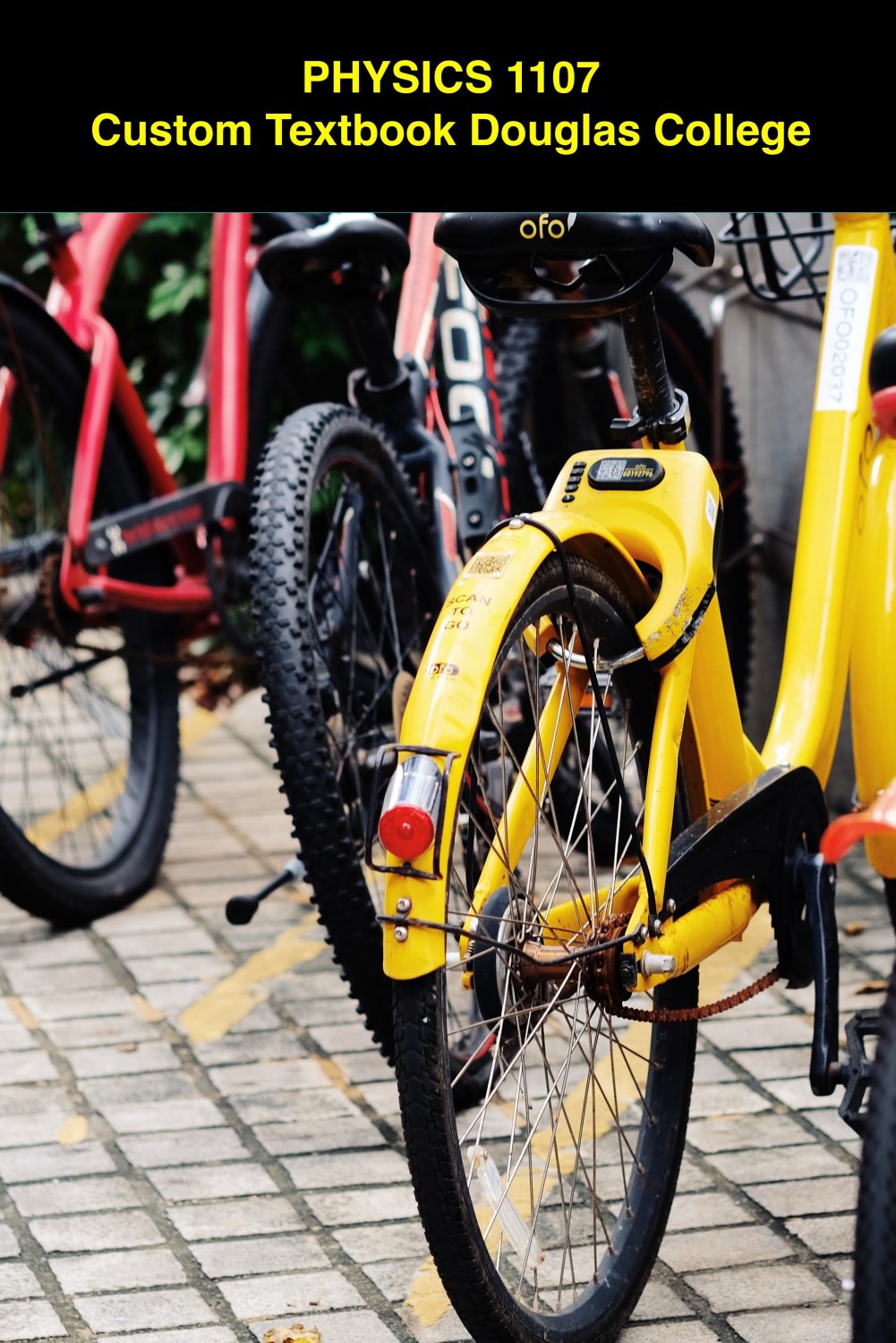 Douglas College Physics 1107 – Open Textbook