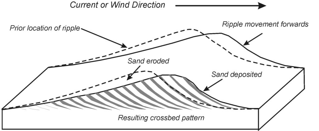 Exercise 1.3. Sedimentary Structures – Laboratory Manual for Earth History