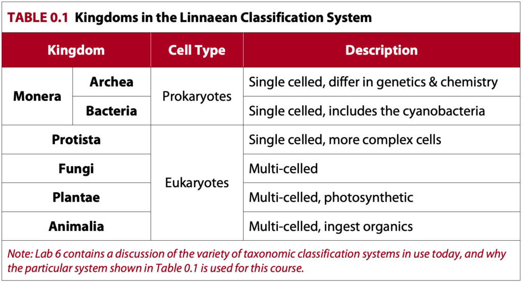 Guide to Fossil Classification – Laboratory Manual for Earth History