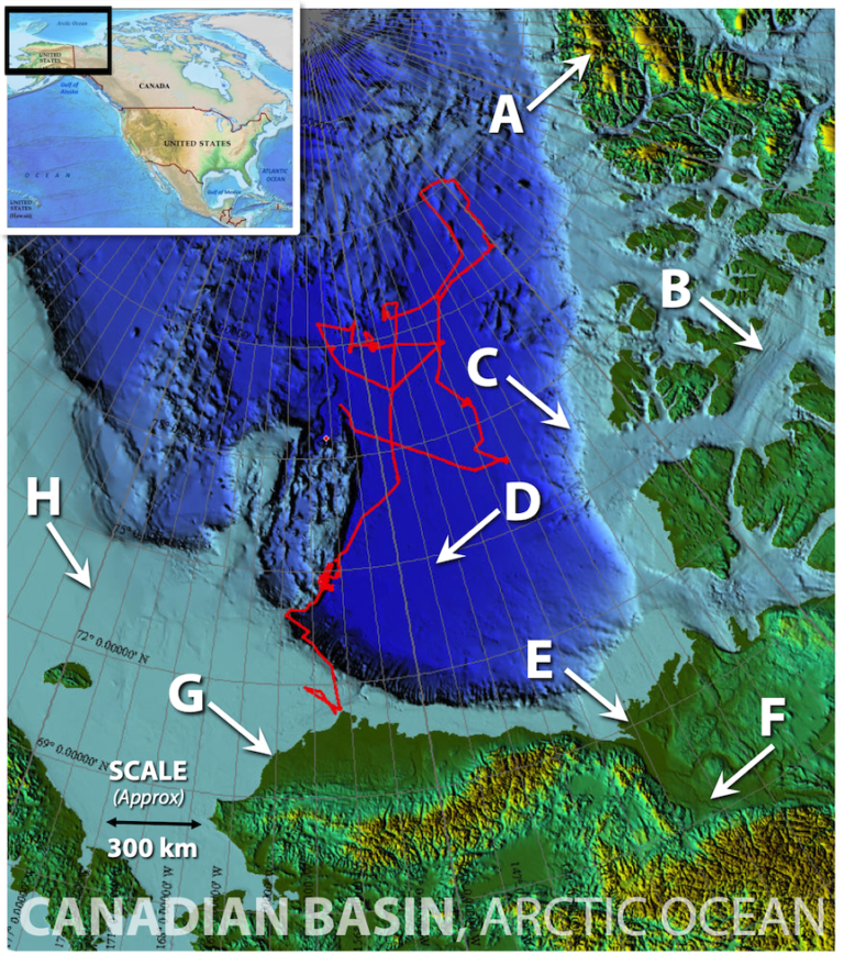Exercise 2.2. Identifying Depositional Environments – Laboratory Manual ...