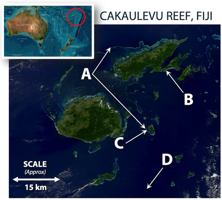 Exercise 2.5. Identifying Facies in Fiji – Laboratory Manual for Earth ...