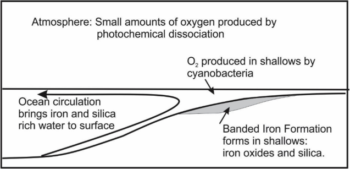 Fossils of the Precambrian (4.6 BY to 542 MY) – Laboratory Manual for ...