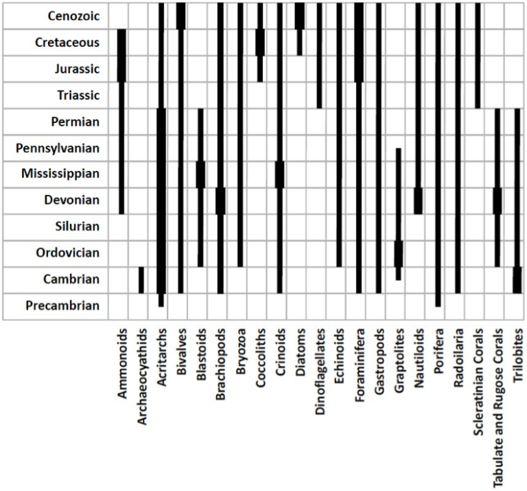 Time-Stratigraphic Correlation & Biostratigraphy – Laboratory Manual ...