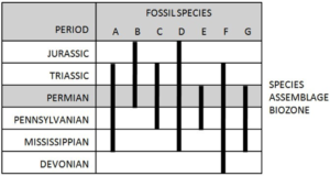 Time-Stratigraphic Correlation & Biostratigraphy – Laboratory Manual ...