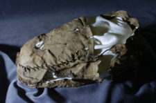 Archaeological Sites of Significance – ECHO: Ethnographic, Cultural and ...