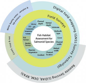 Chapter 2- Analyzing the biological features and functions for a site ...