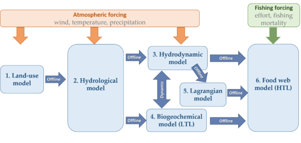 Modelling micro plastics – Ecosystem Modelling with EwE