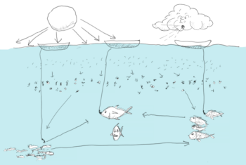 On modelling and making predictions – Ecosystem Modelling with EwE