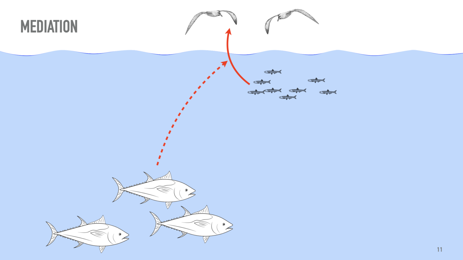 Mediation – Ecosystem Modelling with EwE