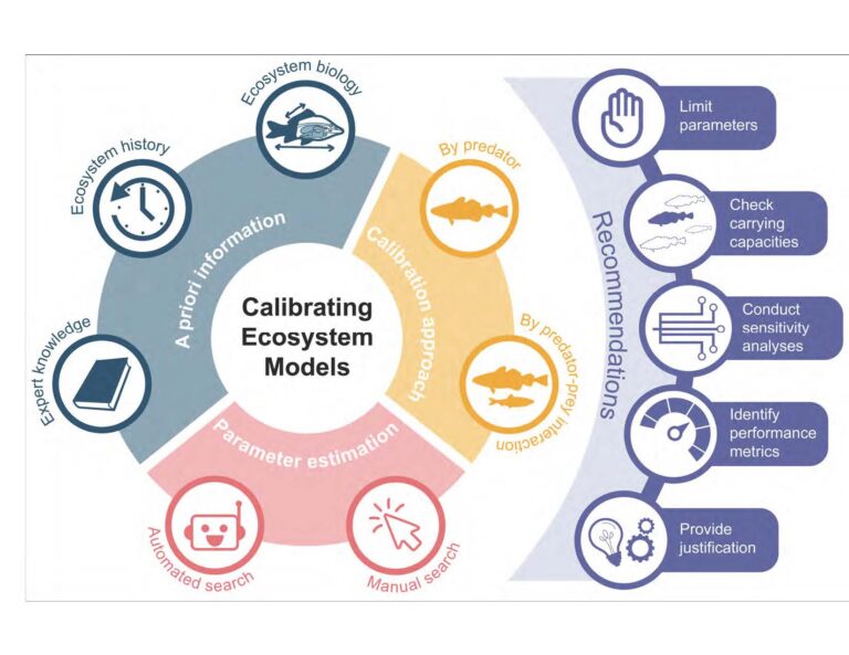 Vulnerability multipliers: Discussion – Ecosystem Modelling with Ecosim (EwE)