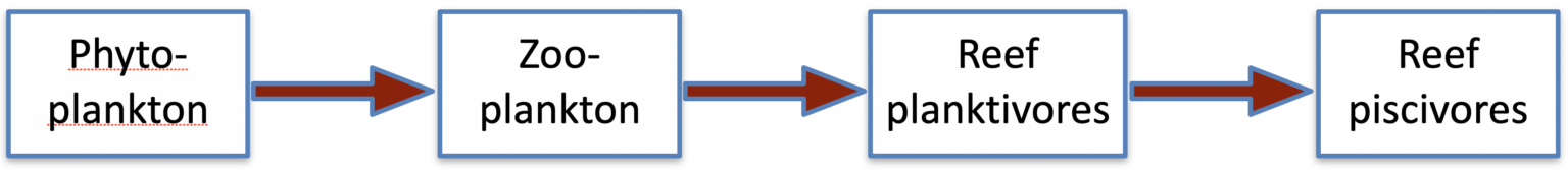 Tutorial: Food chain model – Ecosystem Modelling with EwE