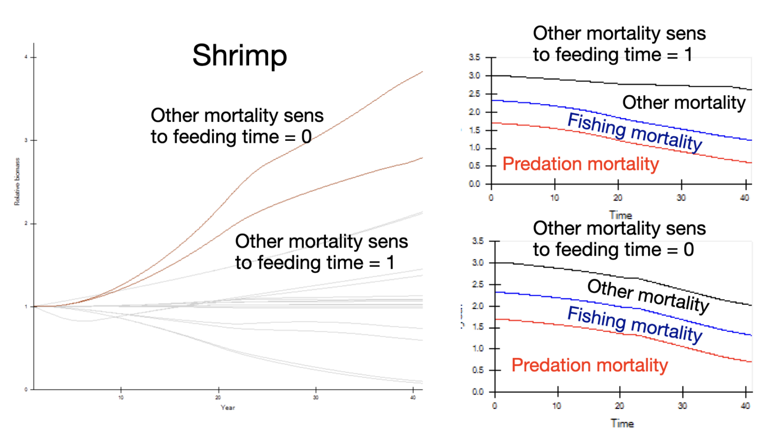 Tutorial: Group info – Ecosystem Modelling with EwE