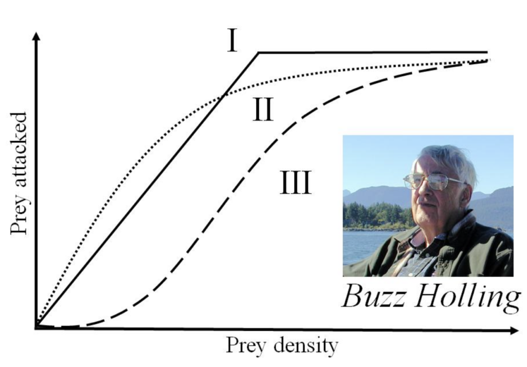 Tutorial: Group info – Ecosystem Modelling with EwE