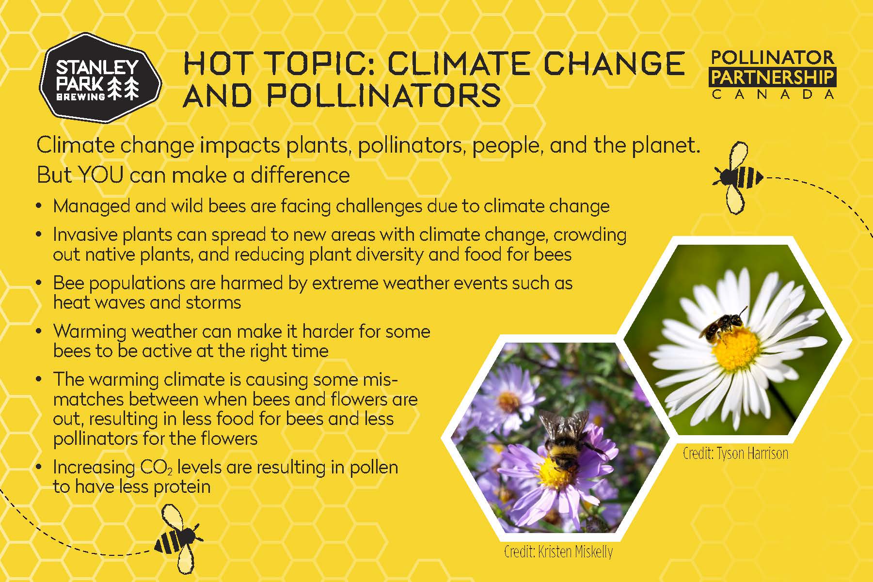 2.3 Design for Biodiversity: The Regenerative Landscape – Charting a ...
