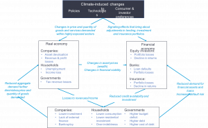 Transition Risk Pathways – Financial Impact of Climate Change