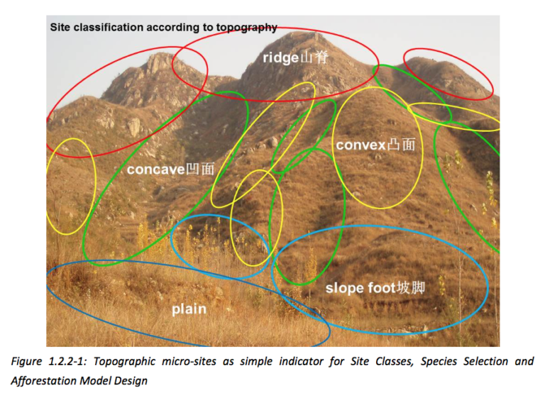 Topic 1.2 Site Inventory and Site Classification – FODE 007 e-Notebook