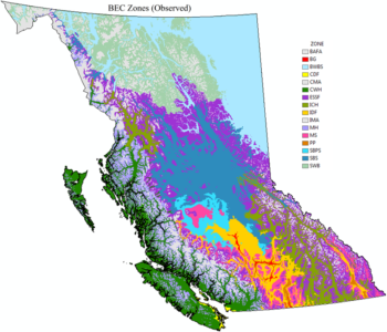 Topic 1.2. Impacts of Climate Change on Forest Ecosystems – Course e ...