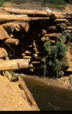 Topic 3.2: Ecosystem Services – FODE 014 e-Notebook