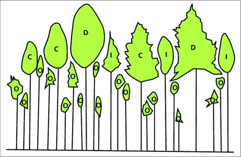 Topic 4.1: Trees – FODE 014 e-Notebook
