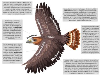 6.6 Different visual representations of the intervention – Foundations ...