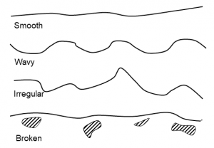 Lab 10: BC Soils and Relationships to Vegetation and Climate ...