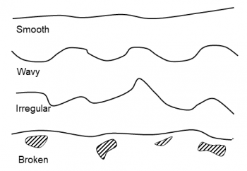 Lab 10: BC Soils and Relationships to Vegetation and Climate ...