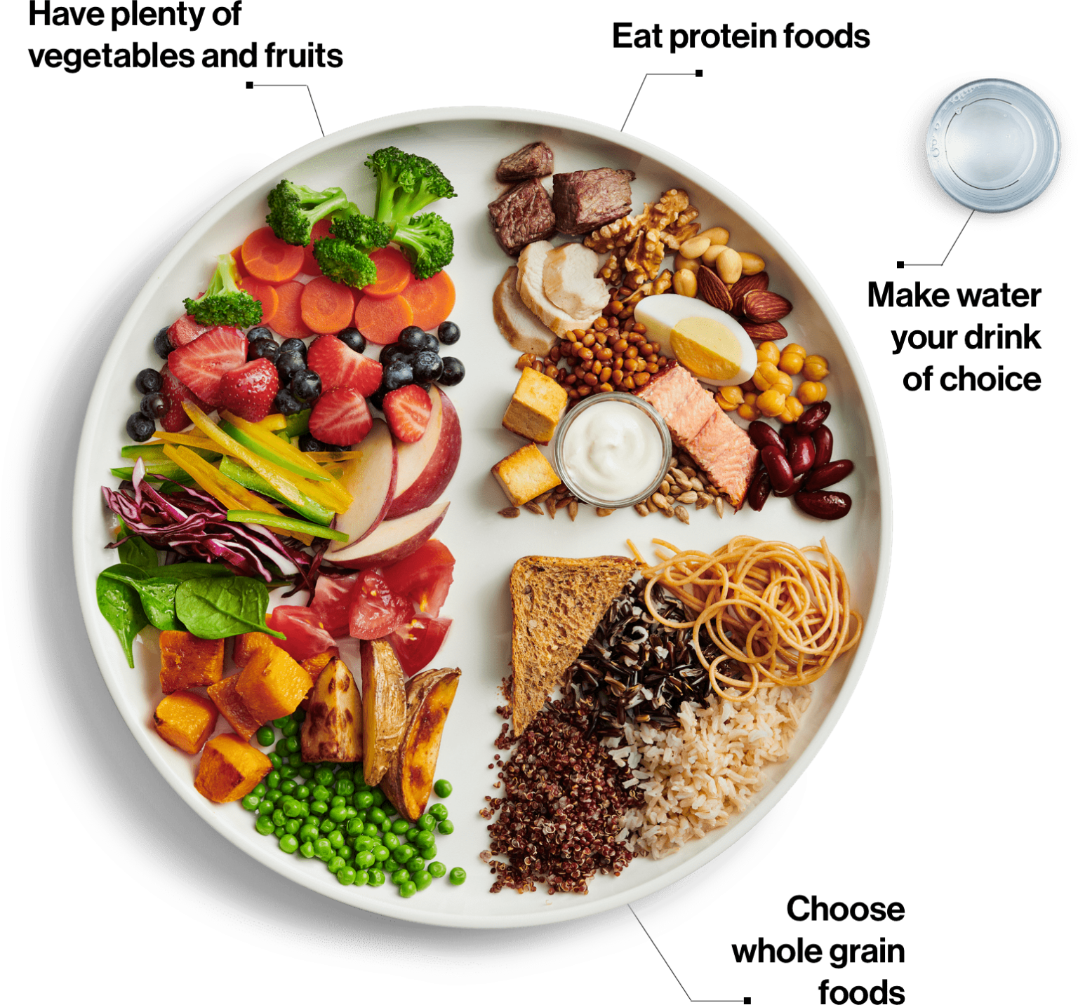 Dietary Guidance in Canada: Canada’s Food Guide – Human Nutrition