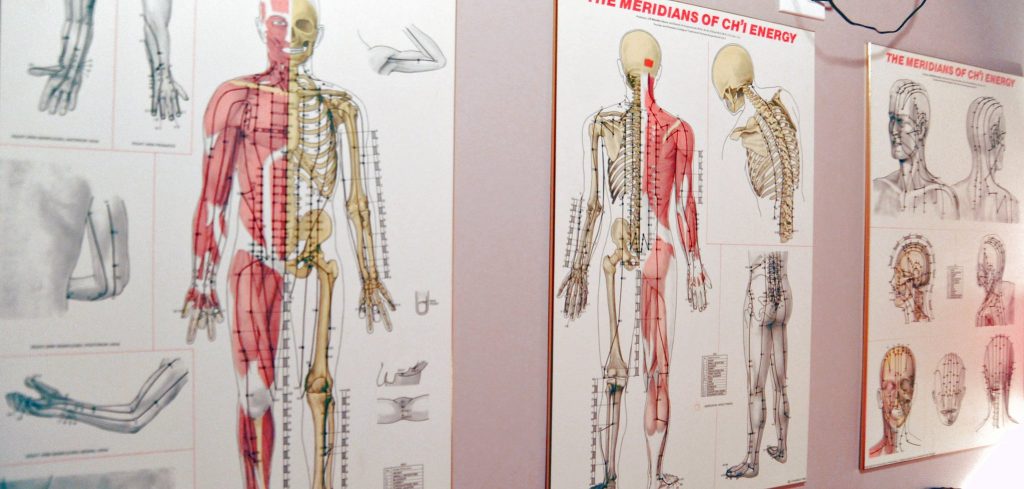 Chapter 1: What is Sociology? – The Scientific Study of the Human ...