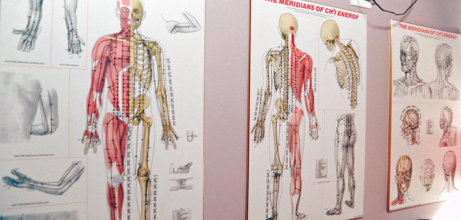 Chapter 1: What is Sociology? – The Scientific Study of the Human ...