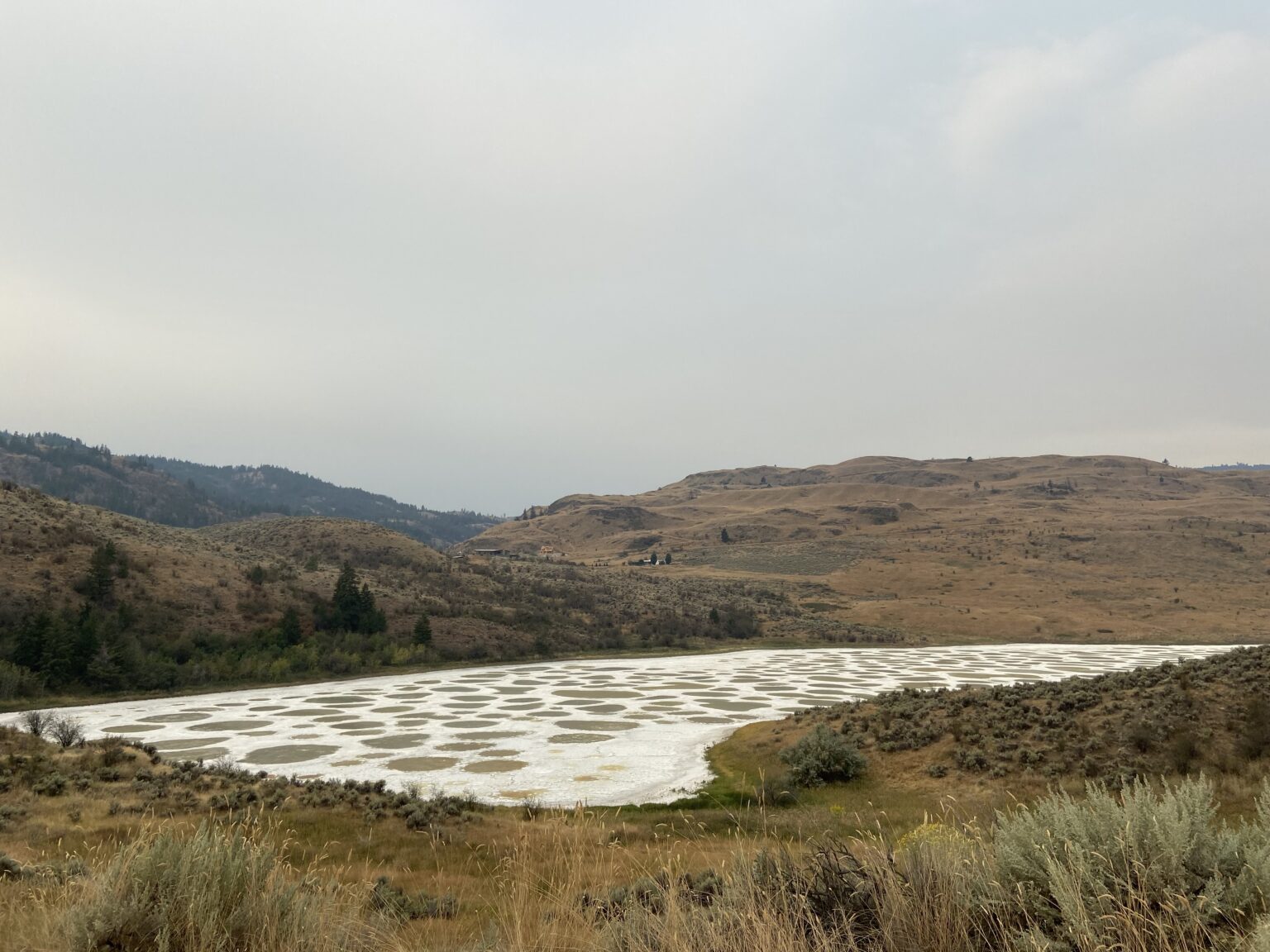 Storytelling: Writing as Medicine (even in University) – Kʷu cyʕap: A ...