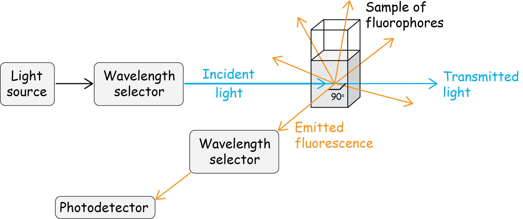 Measurement of Fluorescence – Short Stories in Instrumental Analytical ...