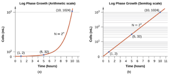 Unit 5.3 Measuring Bacterial Growth – Introduction to Microbiology for ...