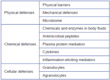 Unit 8.1 Innate Immunity – Introduction to Microbiology for Health Sciences