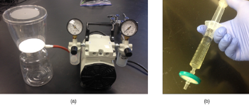 Unit 6.1 Control of Bacterial Growth – Introduction to Microbiology for ...