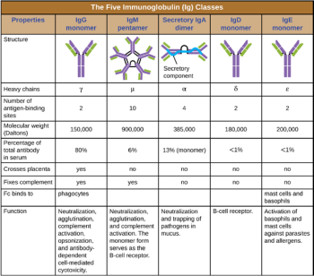 Unit 8.2 Adaptive Immunity – Introduction to Microbiology for Health ...