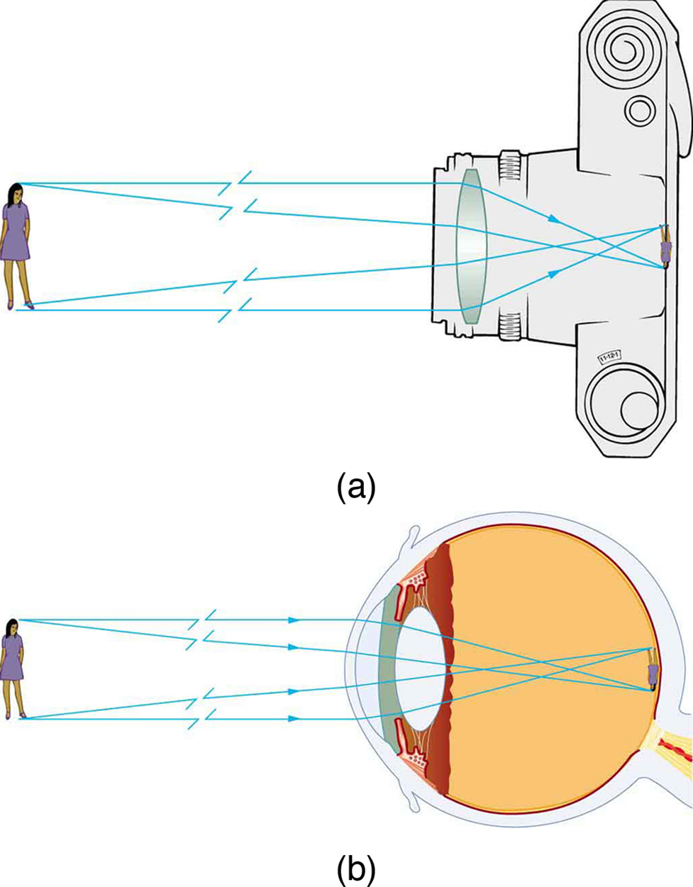 10.6 Image Formation by Single Lenses – Douglas College Physics 1207