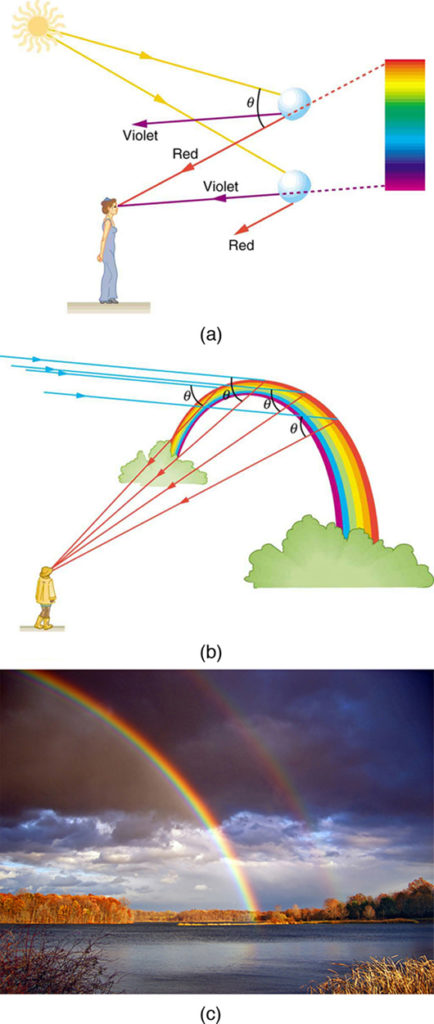 4.5 Dispersion: The Rainbow and Prisms – Douglas College Physics 1207