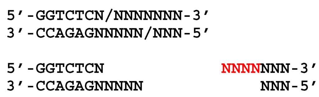 Alternative Cloning Methods 2 – Golden Gate Cloning and BioBRICKS ...