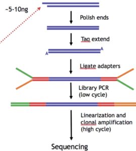 Next Generation and nanopore Sequencing – Genetic Engineering: A Primer ...