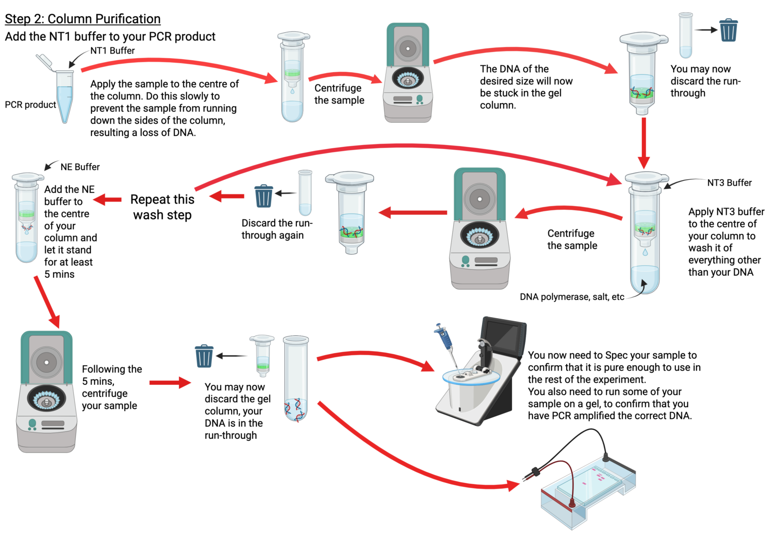 The GFP Project – Genetic Engineering: A Primer to Get You Started