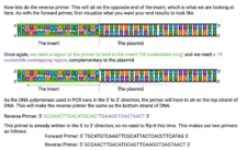 The GFP Project – Genetic Engineering: A Primer to Get You Started