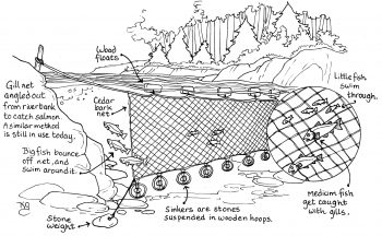 Chapter 7 – A Window into the Indigenous Science of Some Indigenous ...