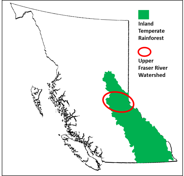 Case. Ancient Forests of the Upper Fraser – Land Use Planning and ...