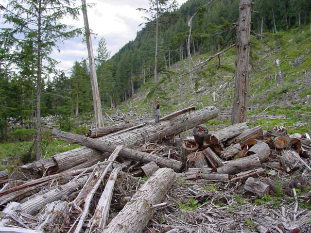 Case. Ancient Forests of the Upper Fraser – Land Use Planning and ...