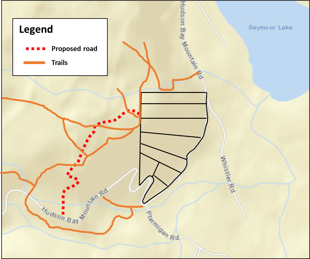 Application. Access to Rural Subdivision – Land Use Planning and Policy ...