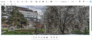 Images in Brightspace – Quick Start Guides for EdTech Tools