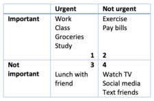 Self Management – Professional Business Practice
