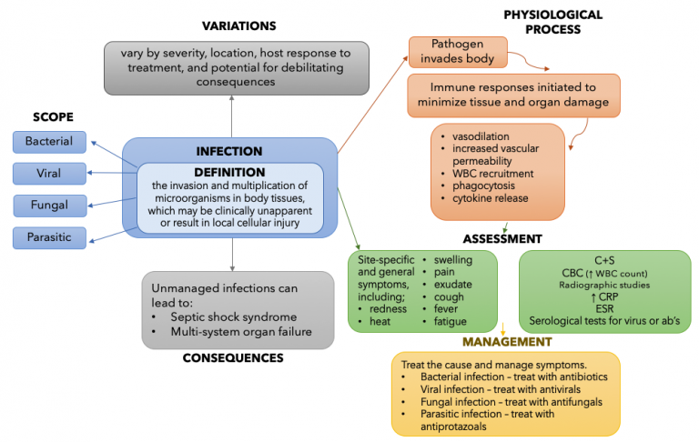 Concept Map: Infection – Nursing Pharmacology