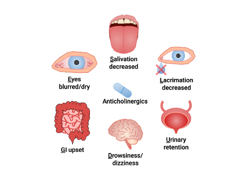 4.2 Autonomic Nervous System Regulation Concepts – Nursing Pharmacology